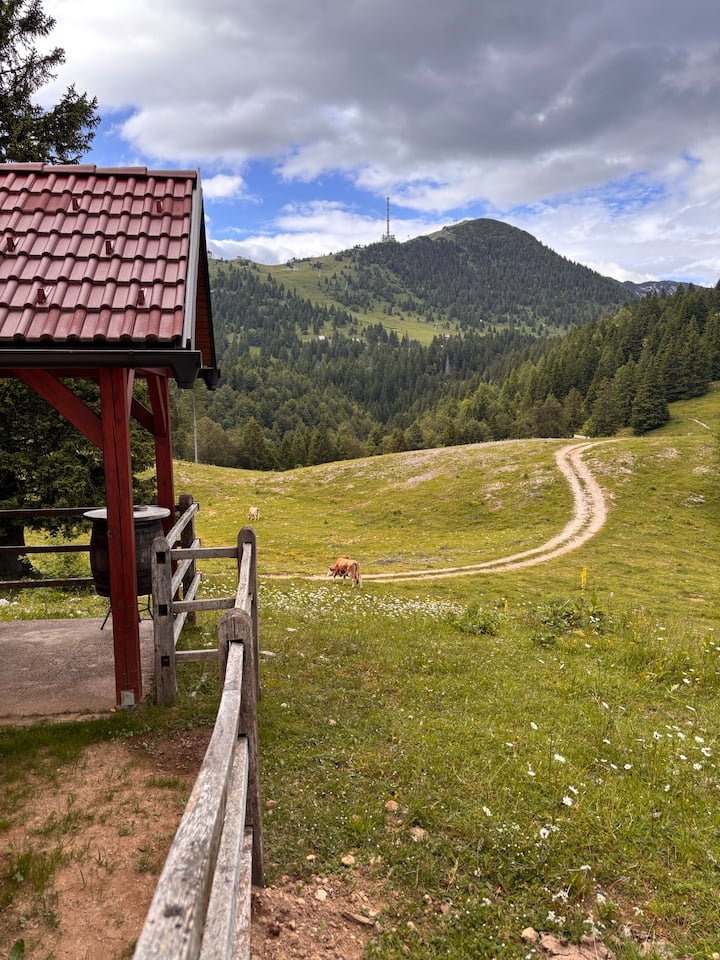 Harmony Resort | Apartment Ela | Mountain View - Kamnik