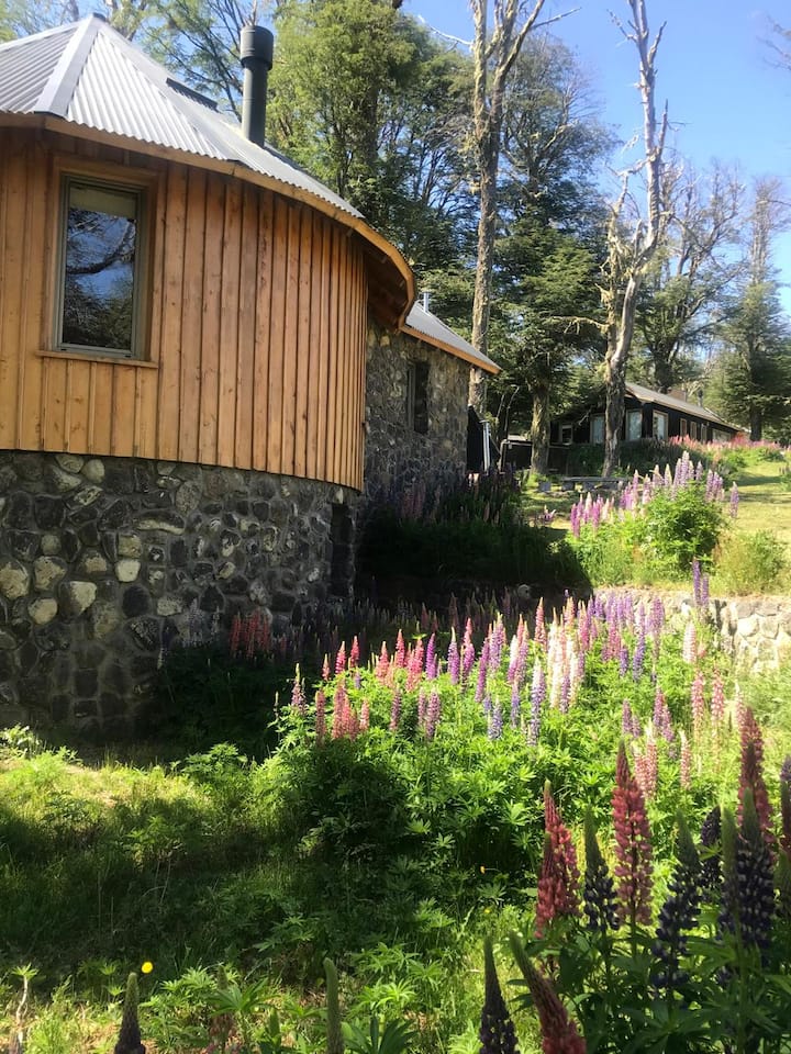 Madriguera 2 - San Martin de los Andes