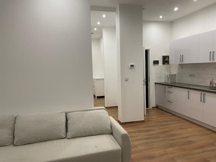 Appartement Animé Au Centre De Liège - Liège