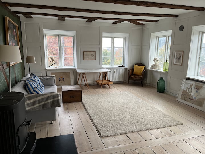 Room In Spacious Apartment Next To Kings Garden - Copenhagen