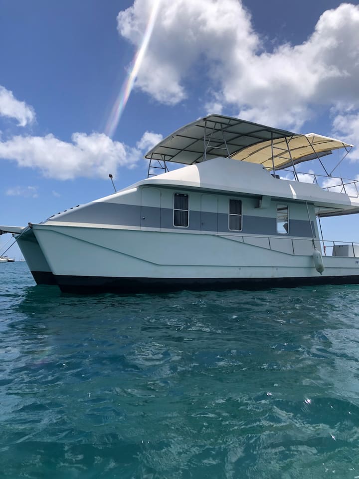 Catamaran 38’ Séjour Unique Face à Sainte-anne - Martinique