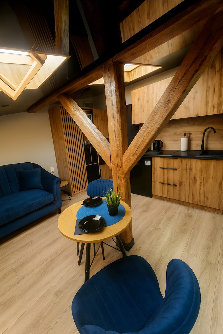 Hola Apartamenty Narutowicza - Łódź