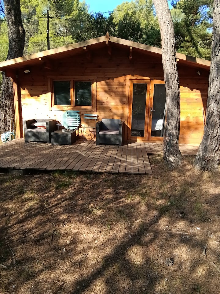 Tiny House à La Liserée De La Forêt - Gréoux-les-Bains