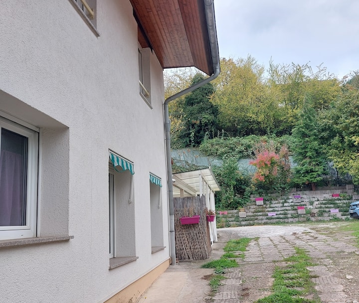 Maison Avec Deux Petits Logements En Centre-ville - Niederbronn-les-Bains