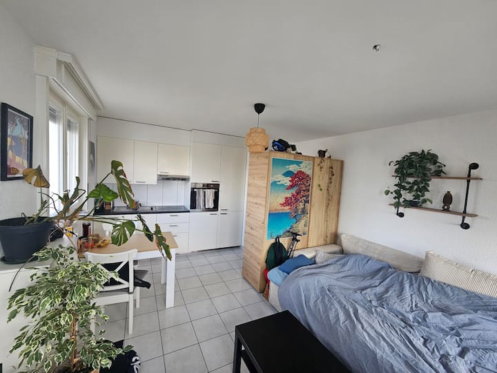 Sous Location Appartement - Fribourg