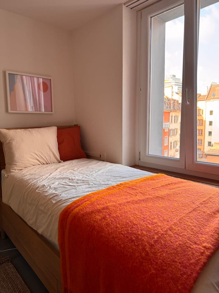 Neugasse | City Centre Micro Apartment 19 - Zürich