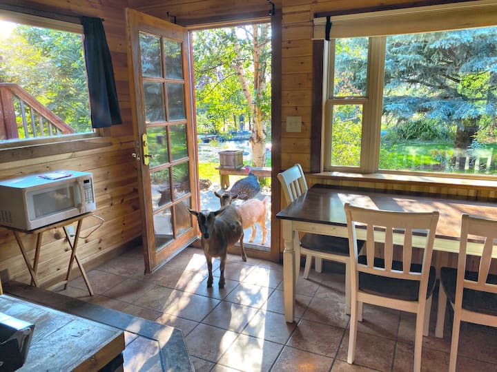 Bridger Views, Ponds, Game Room, 5 Acres - Montana