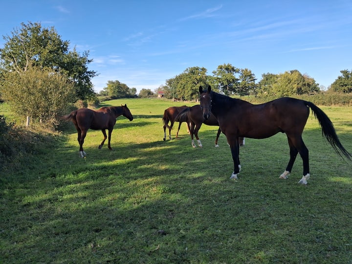 Hebergement Calme Dans Un Cadre Verdoyant. - France