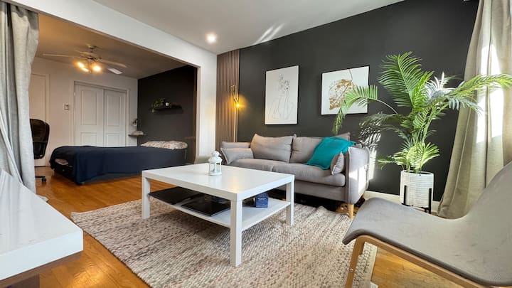 Chic And Stylish. Free Parking. Fast Wifi - Lasalle