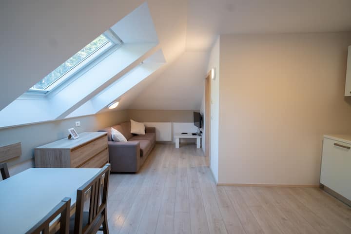 Vila Vesna; Sončen Apartma Sova - Stara Fužina