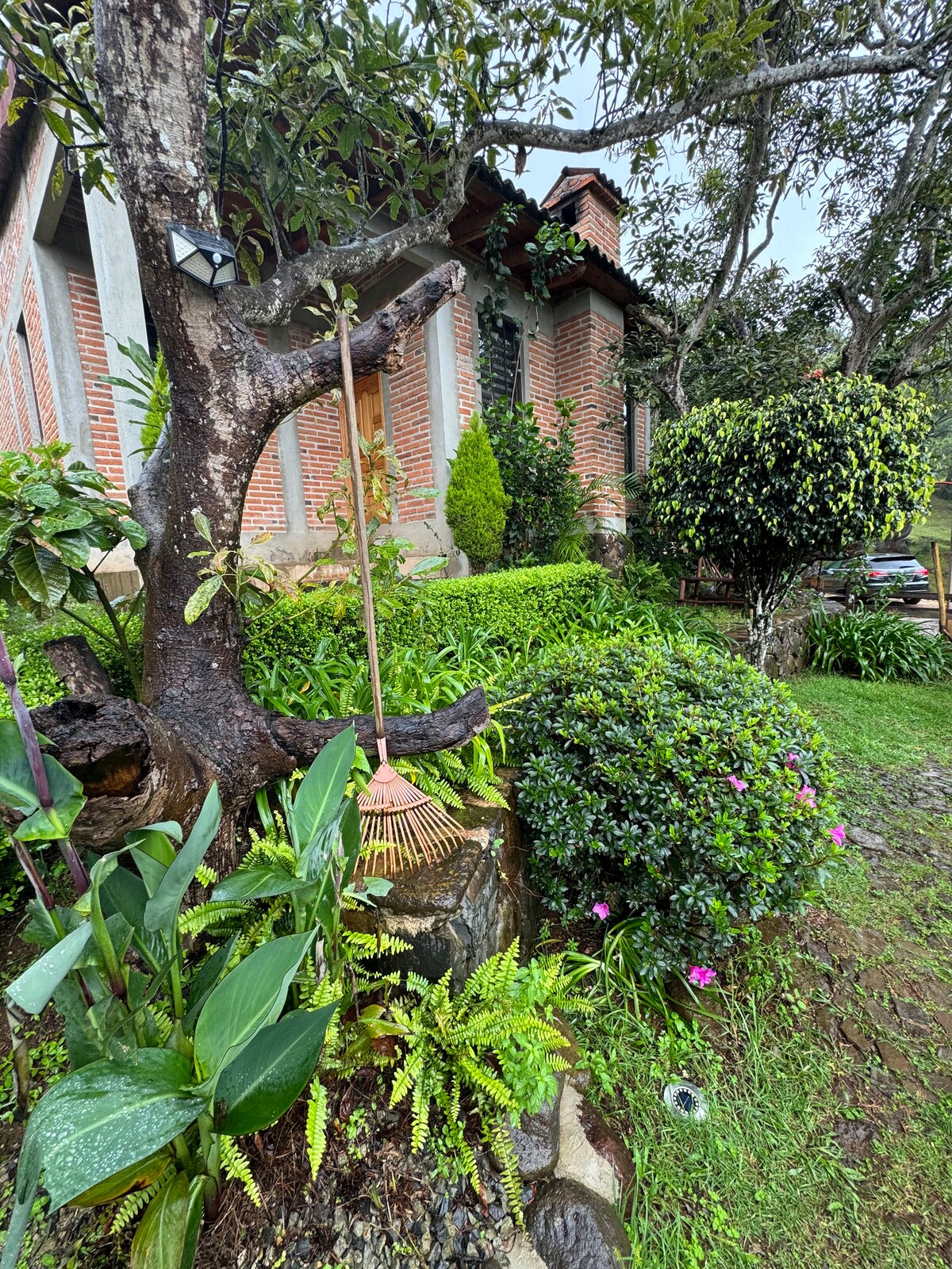MC Cabin - Cabins for Rent in Mazamitla, Jalisco, Mexico - Airbnb