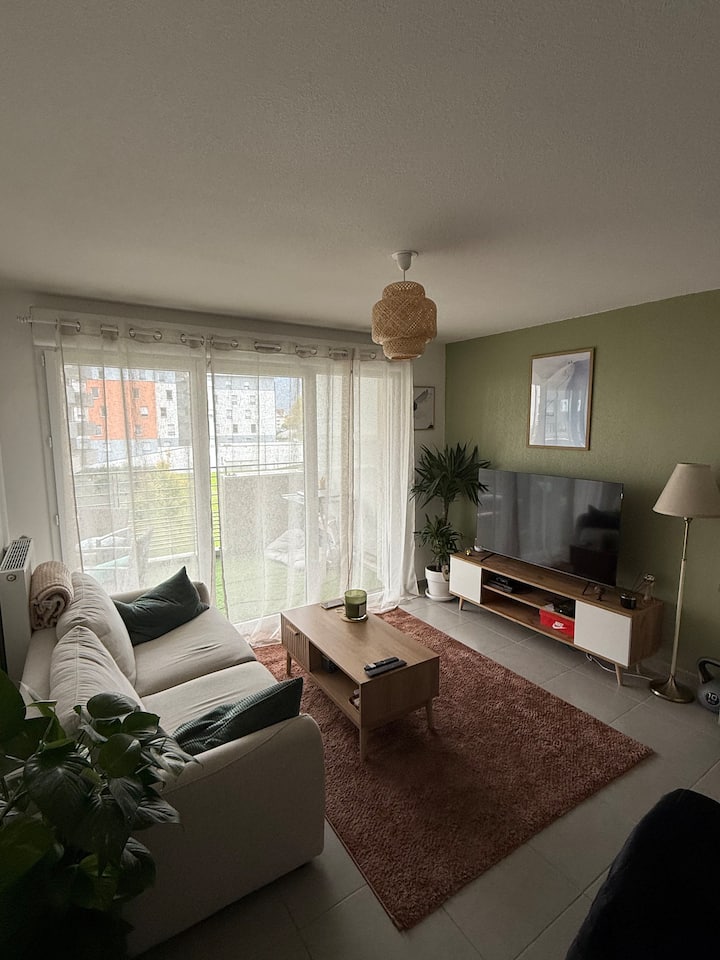 F2 Cosy Entre Lacs Et Montagnes, Proche De Tout - Bonneville