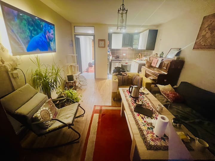 T3 Meublé 55 M² – 2 Balcons + Parking – Lyon 9e - Lyon