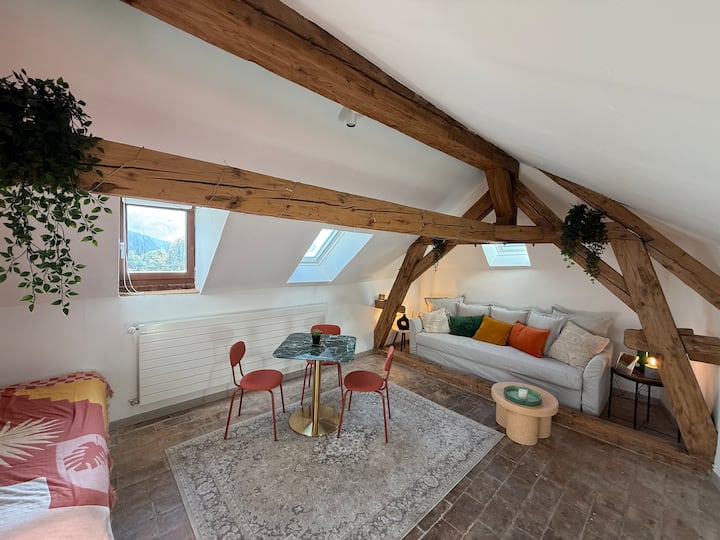 Charmante Chambre D’hôtes - Ferney-Voltaire