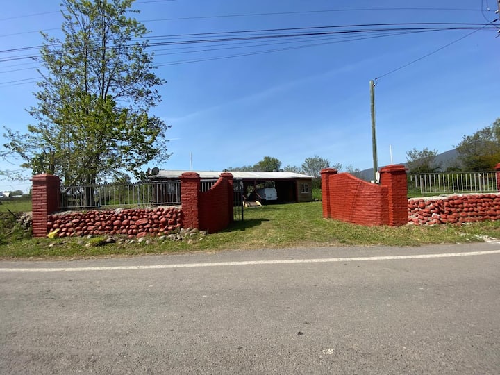 Desconexión Y Naturaleza - Molina