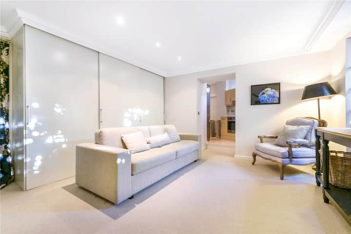 Heart Of Chelsea - Studio Apartment - Belgravia - London