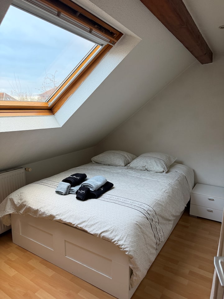 Mulhouse Centre : Charmant Et Lumineux 3 Pièces - Mulhouse