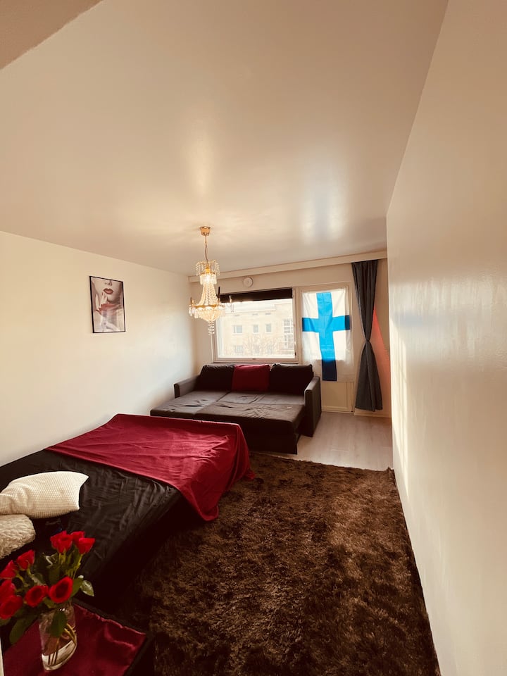 Modern Apartment With Northern Lights View. -