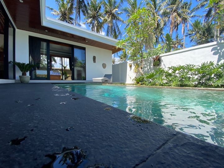 Ubud-villa 2ch & Piscine Privée Et Sa Cocoteraie - Australia