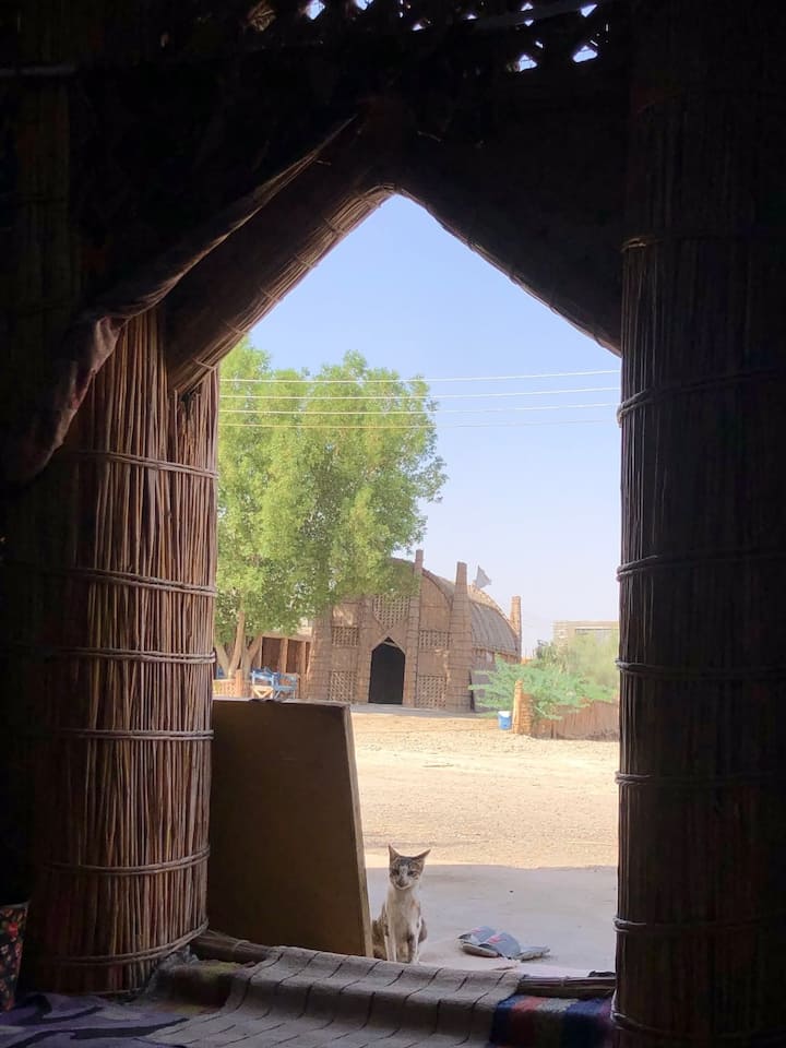 Iraq, Nasiriyah Governorate, Al-jubayish District - Iraq