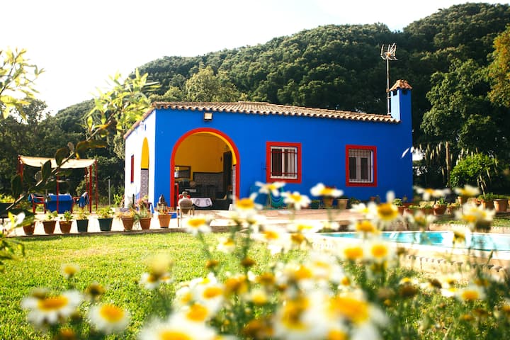 Sueño Azul - Dream And Create Surrounded By Nature - Vejer de la Frontera