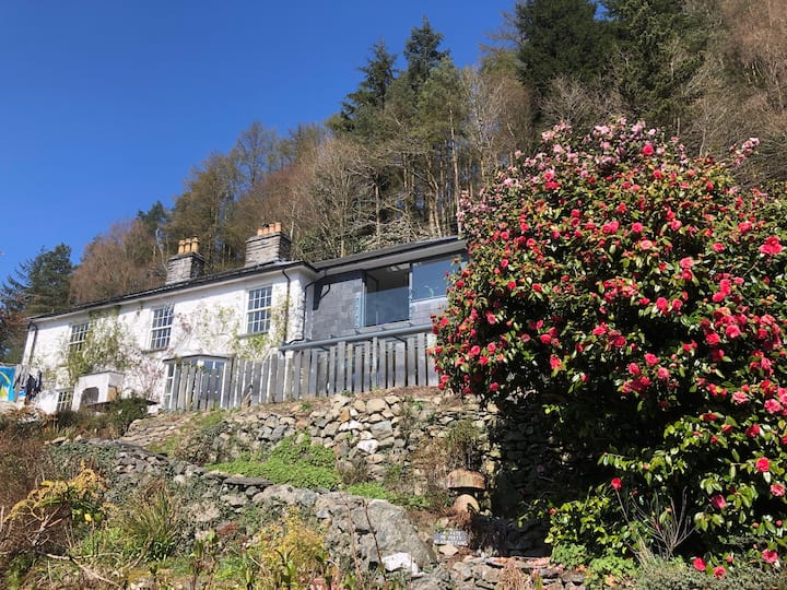 Stunning, Spacious Welsh Family Home - Machynlleth