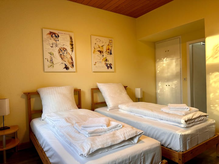 Doppelzimmer Economy: Boutique Hotel Am Kranichsee - Harz