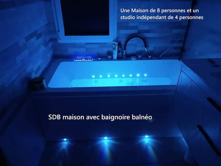 Maison 8 Pers + Studio 4 Pers, 12 Km Du Parc - Les Herbiers