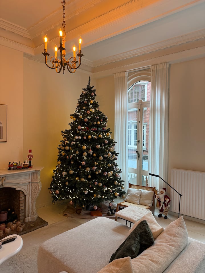 Mansion Rl “Unique Christmas Decorations” - Amberes, Bélgica