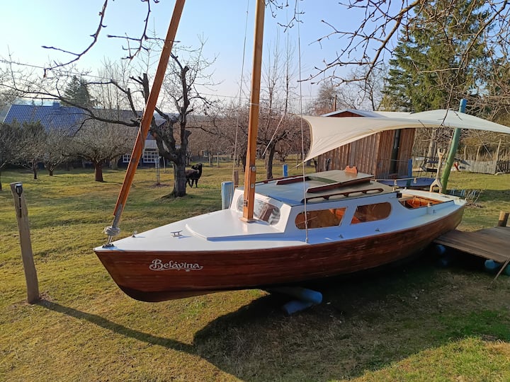 Traumsegler Im Apfelwald - Bautzen