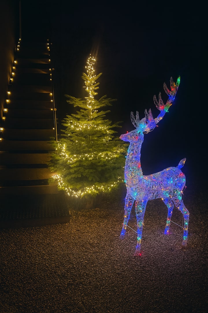 Nid Douillet Sous Les Toits-proche De Disneyland - Montévrain
