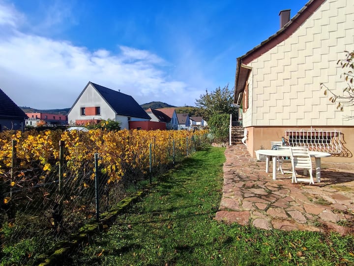 La Maison Du Vignoble - Ammerschwihr
