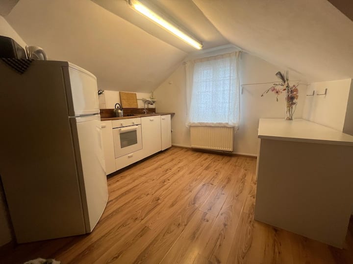Loft Apartment In Old Town Next To Mozart. - Salzburg