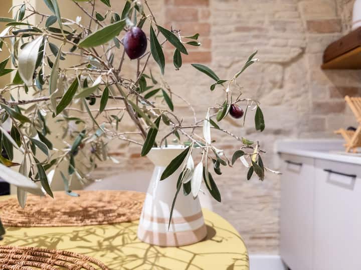 Ulivo. Cagliari For 2 - Cagliari