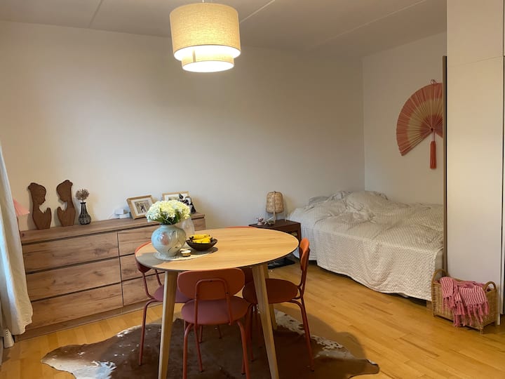 One-bedroom Apartment In The Heart Of Copenhagen - Copenhagen
