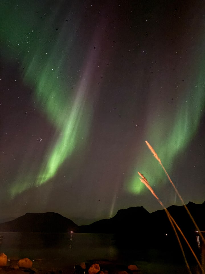 Reindeer Paradice. Apartment In Tromsø- Kvaløya. - トロムセー