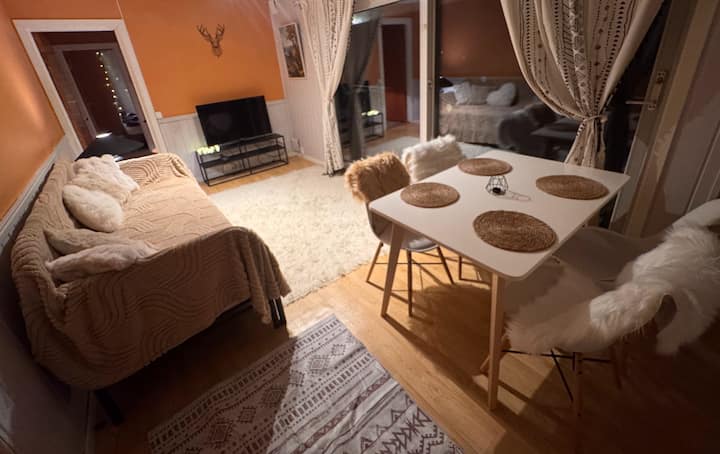 Peaceful Yet Central Arctic Home - Tromsø