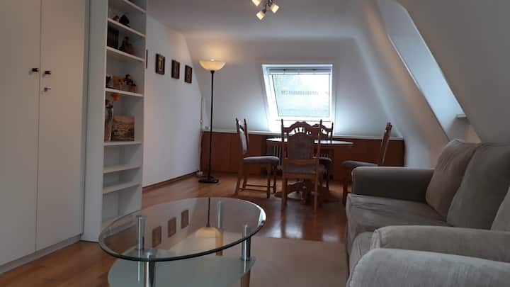 Nice Apartment Landstuhl City, Tla, Ferienwohnung - Landstuhl