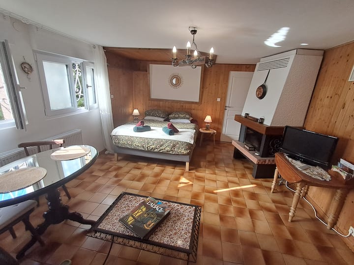 Studio Totalement Indépendant - Le Zénith de Strasbourg