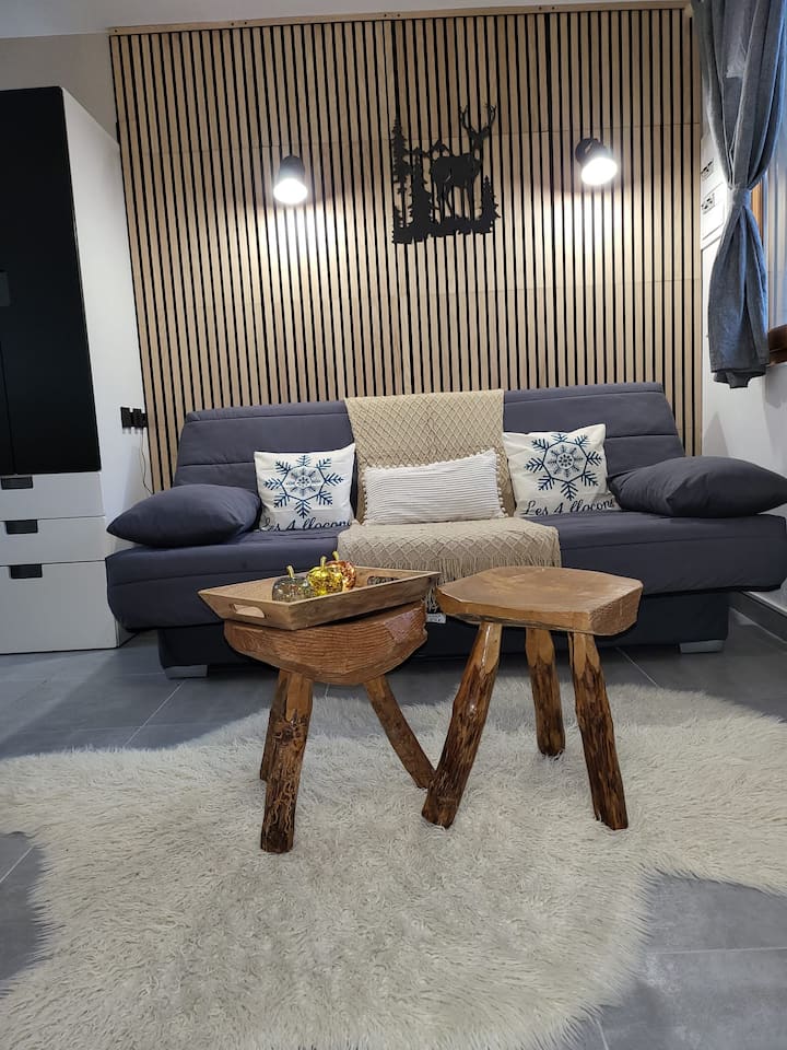 Charmant Studio Avec Terrasse Et Parking - Taninges