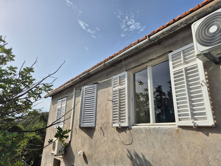 Apartmani Aurelia - Maslinica