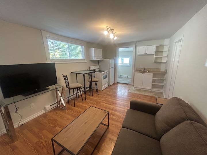 Rabais! Magnifique Appart. 1 Chambre, Hull (14b) - Gatineau