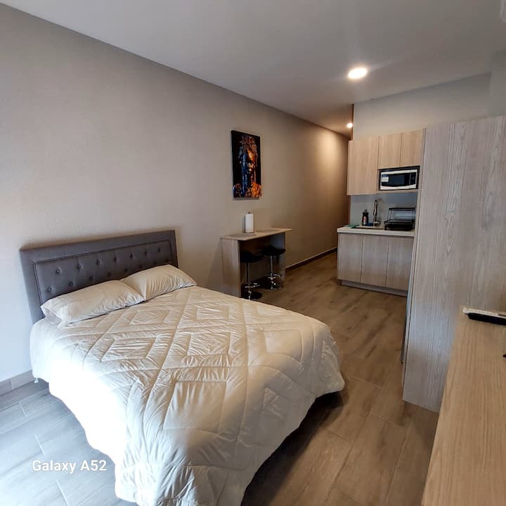 Cómodo Y Céntrico A Cualquier áRea De Monterrey. - Monterrey