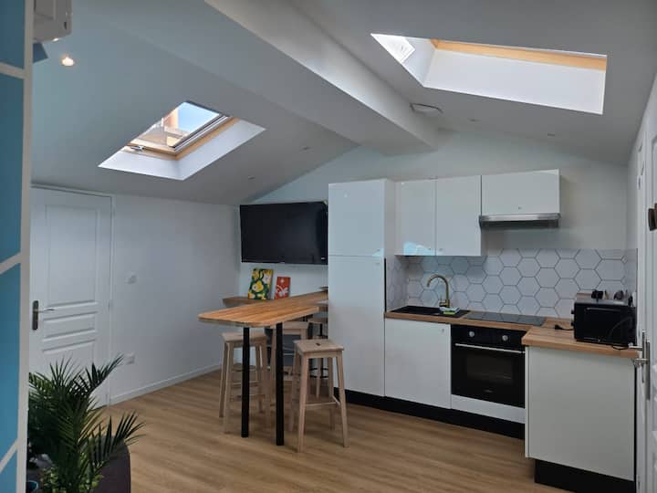 Charmant/netflix /Climatisé /2 Chambres/ Wifi / Tv - Saint-Étienne