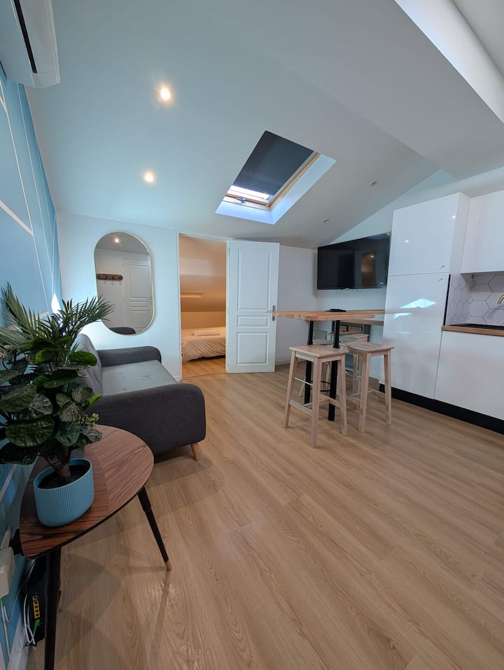 Le Prime/netflix /Climatisé /2 Chambres/ Wifi / Tv - Saint-Étienne