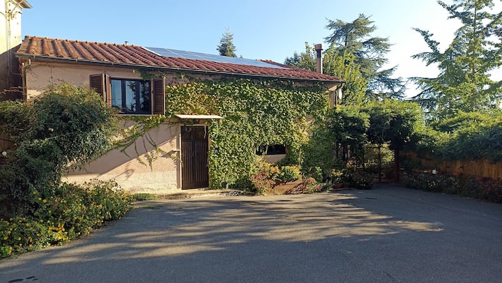 Podere Del Luogo Vecchio - Mount Amiata