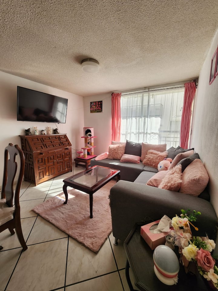 Pinkhouse Habitación Privada Solo Para Mujeres - Mexico City