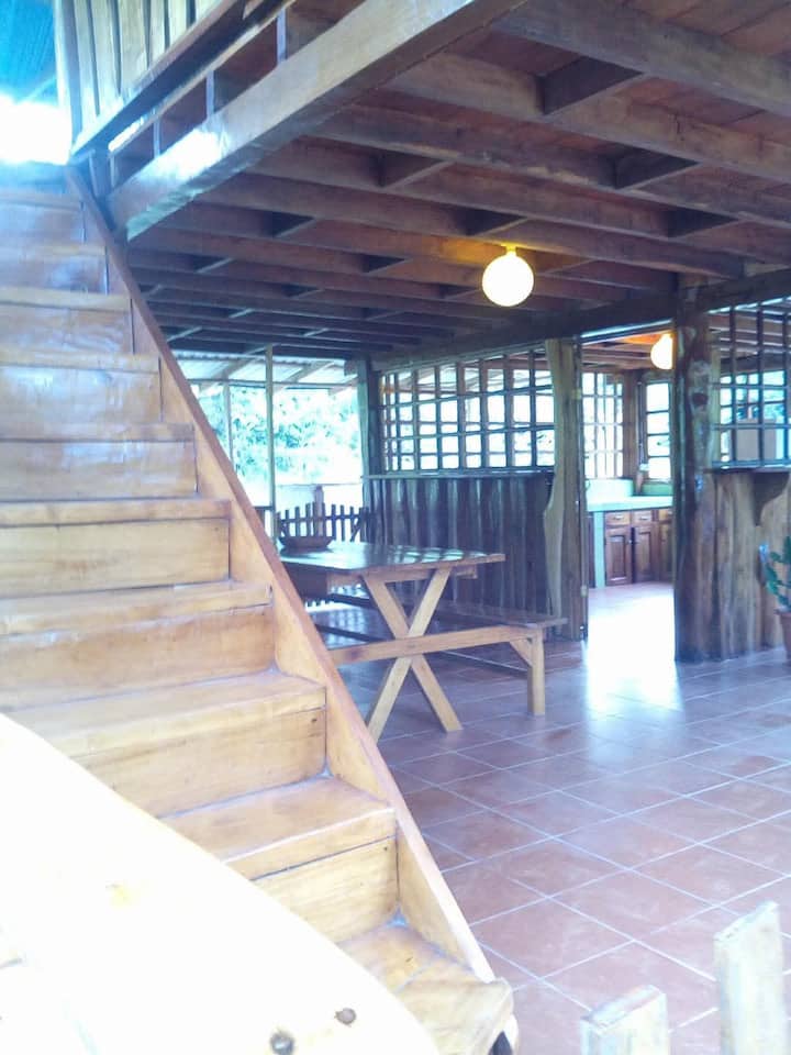 Casa Familiar Cerca Del Río#birding #Nature -