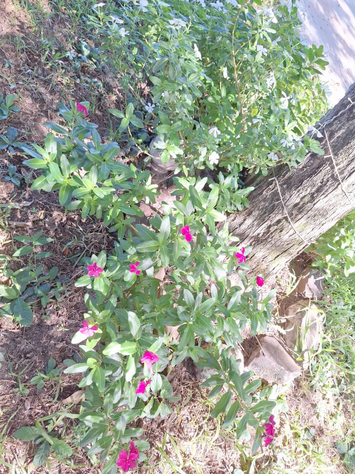 O Sossego Que Você Merece Está à Sua Espera. - Santa Maria, Brazil