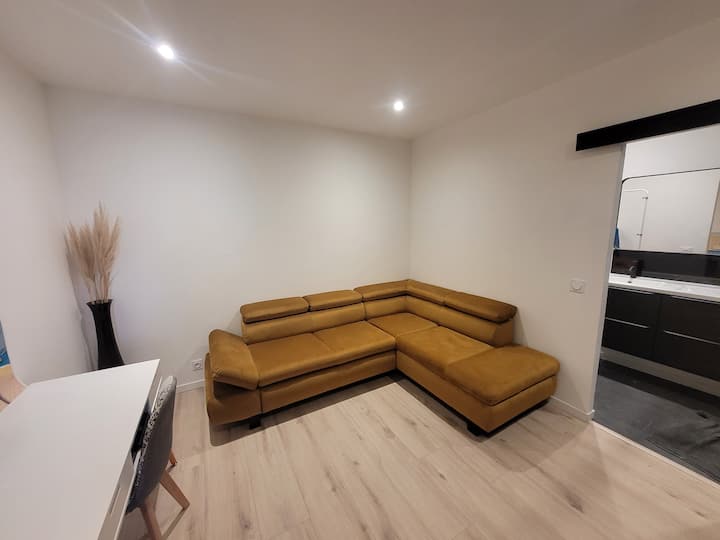 Elegant 2 Bedrooms In Annecy Old Town Lake - Seynod